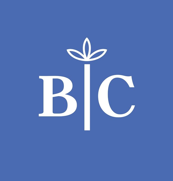 BC Consulting - Cannabis & Hemp CPAs